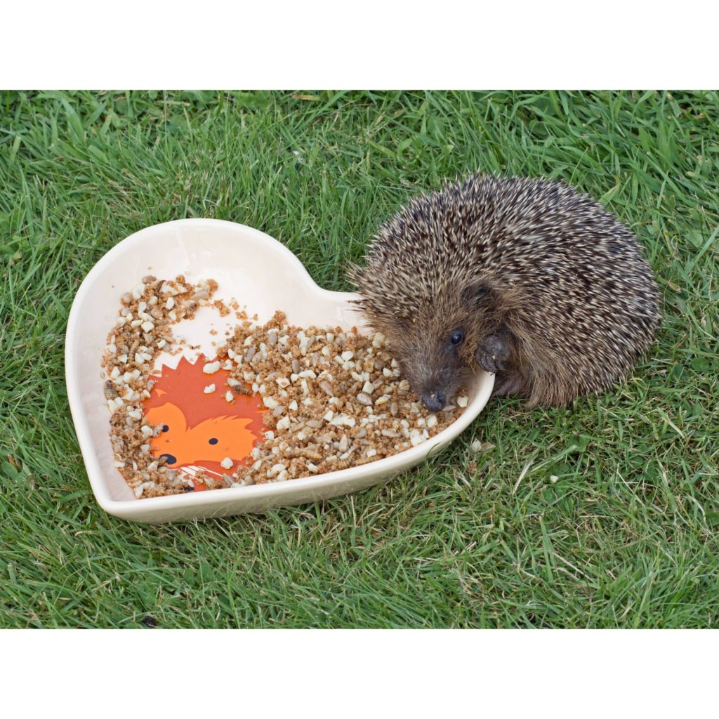 I Love Hedgehogs Dish - Eyebrook Wild Bird Feeds