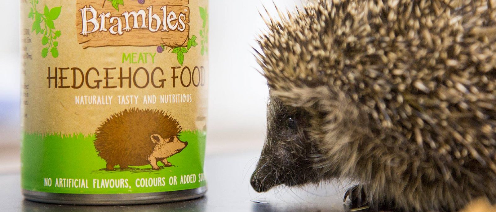 New Hedgehog Food now in stock! - Eyebrook Wild Bird Feeds