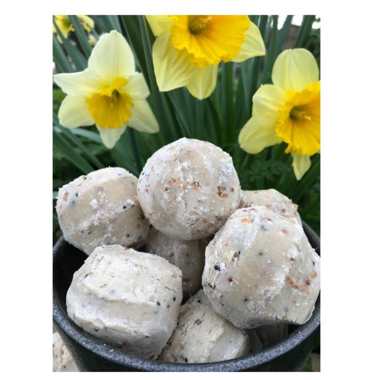 Suet Blocks - Eyebrook Wild Bird Feeds