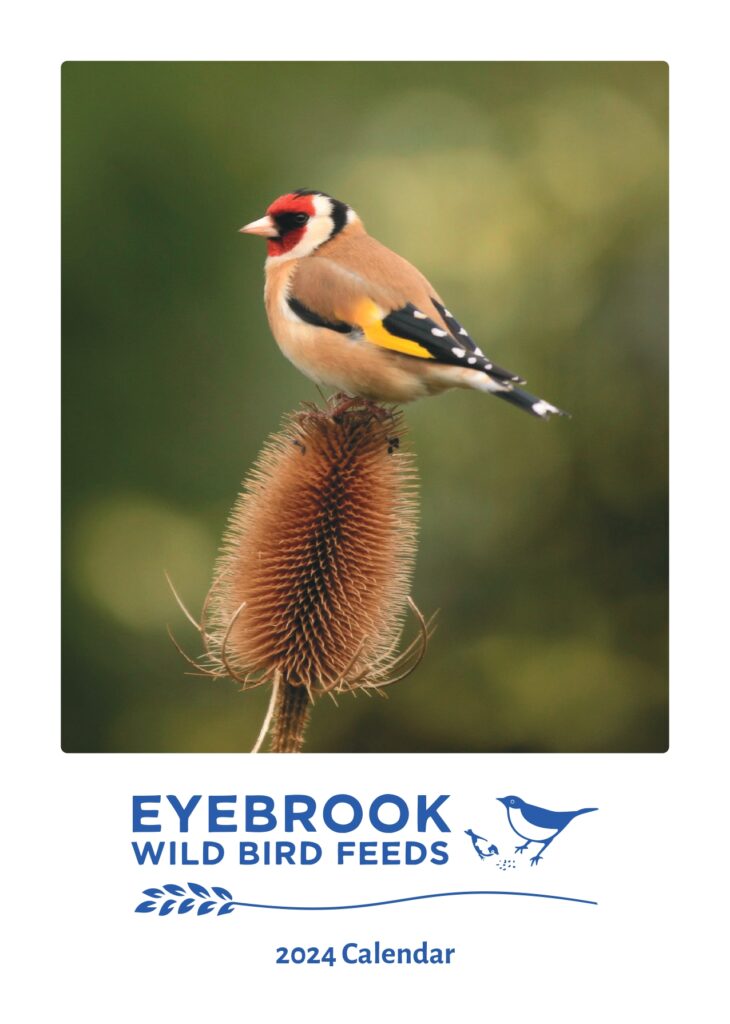 FREE 2024 Bird Calendar - Eyebrook Wild Bird Feeds